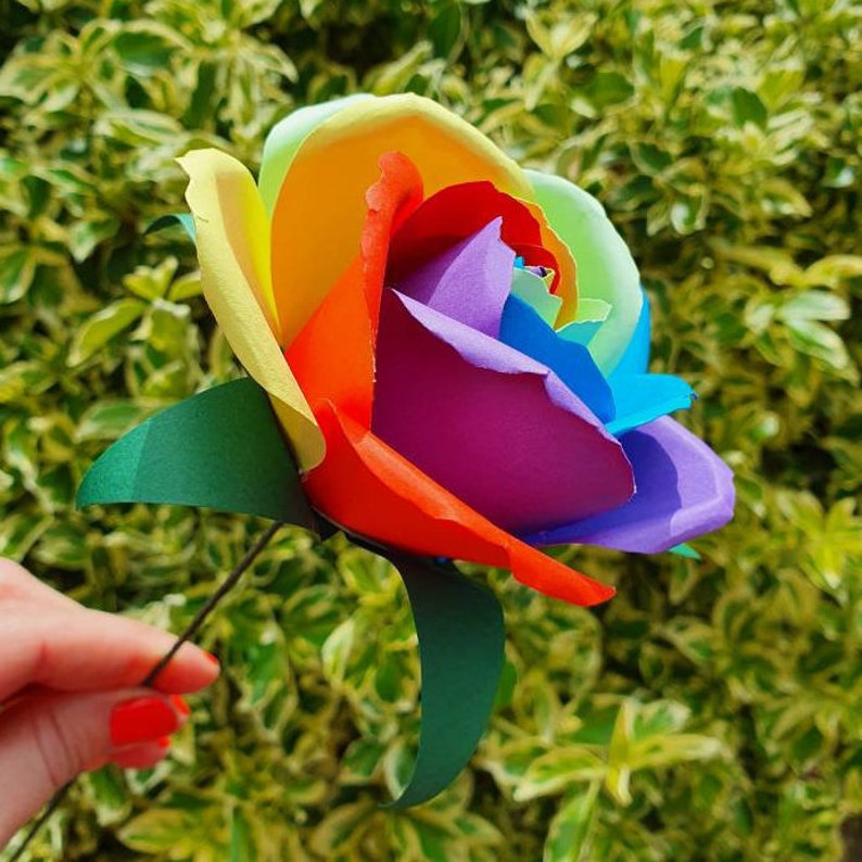Rainbow Paper Rose Stemmed Flower Valentines Gifts | Etsy