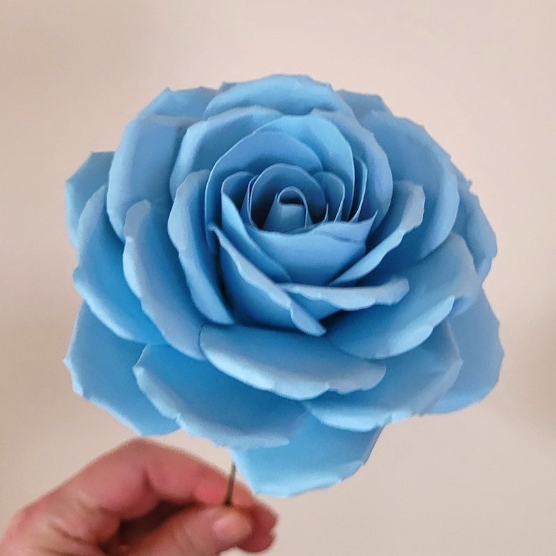 PaperFlowersByNicky - Etsy