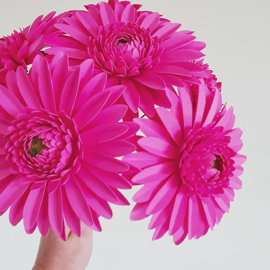 Bright Pink Paper Gerbera Daisies, Handmade Paper Flowers - Etsy UK