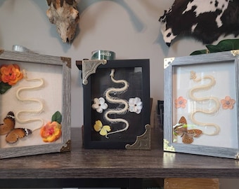 Snake Skeleton Display - Etsy