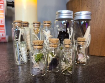 Oddity Jars | Etsy