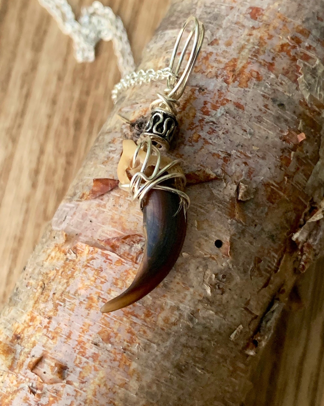 Viking Style Genuine Coyote Claw Wire Wrapped Necklace Taxidermy ...