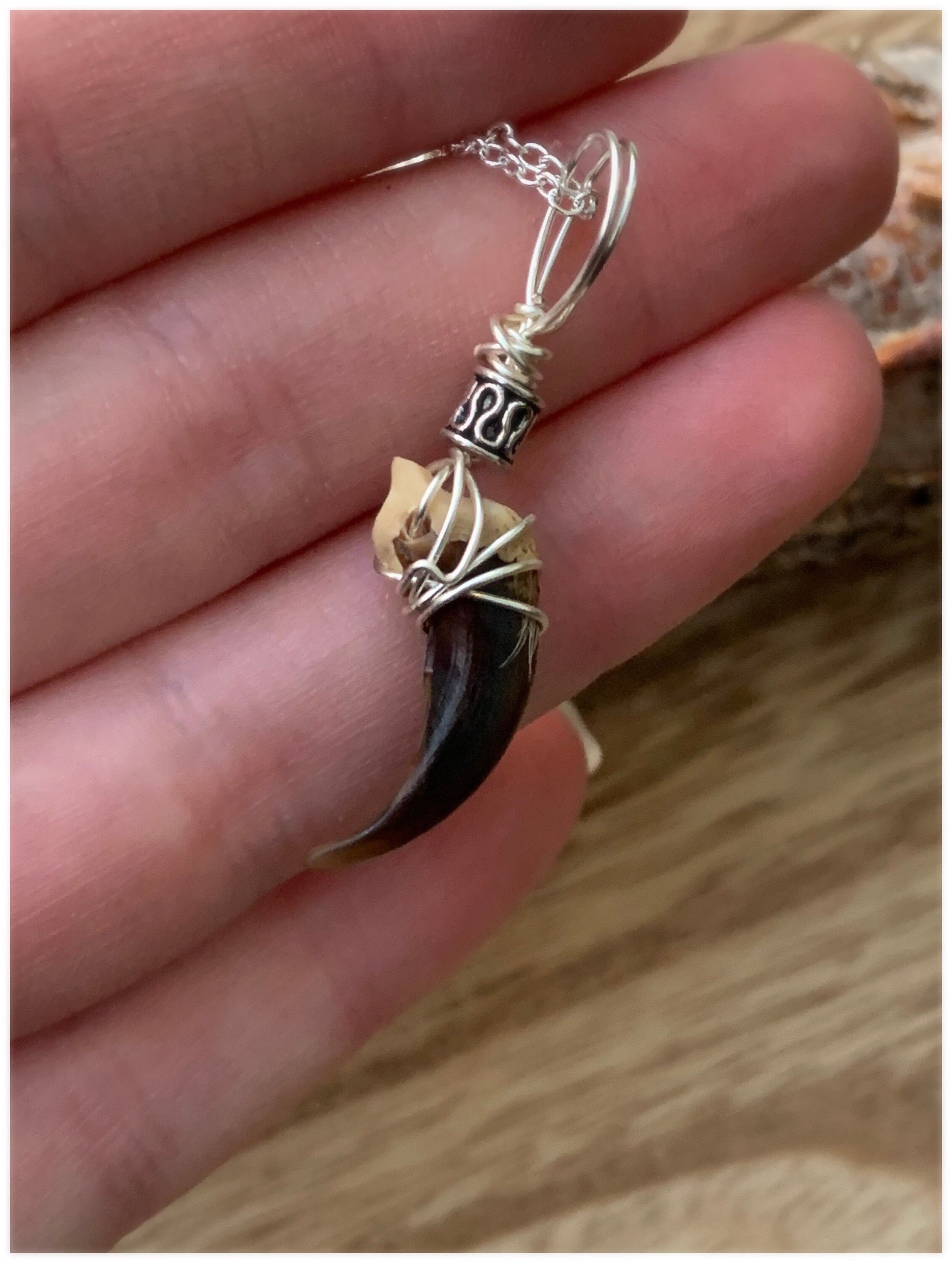 Viking Style Genuine Coyote Claw Wire Wrapped Necklace - Etsy