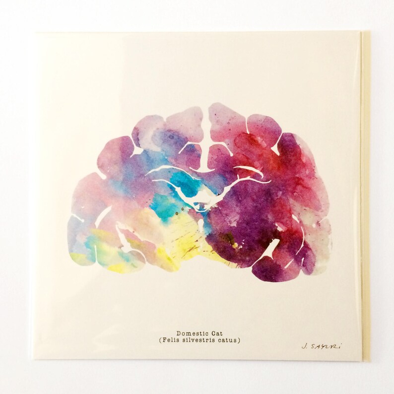 Brain Art Print Set of 40 Prints Colorful 12 X | Etsy