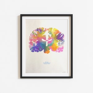 Coronal Human Brain Art Original 8.5 X 11 Risograph Print Neuroscience ...