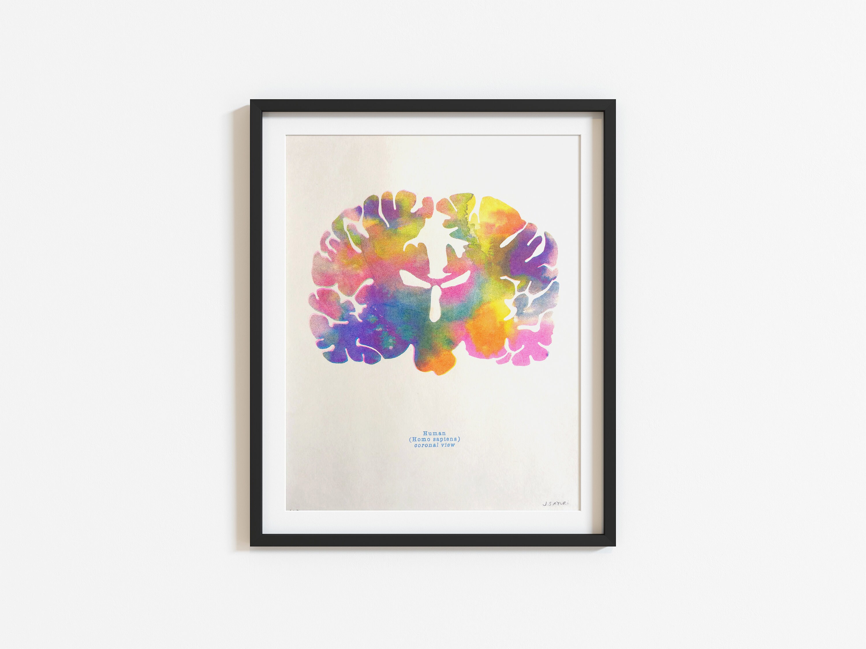 Coronal Human Brain Art Original 8.5 x 11 | Etsy