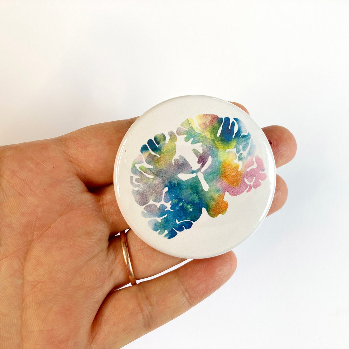 Human Brain Magnet Set - 2.25" Round Fridge Magnets - Refrigerator ...