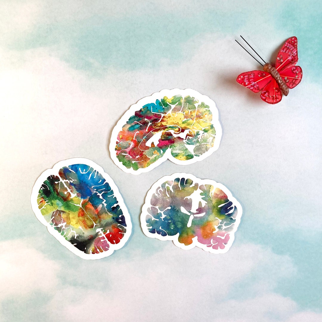 Human Brain Art Sticker Set of Three - Brain Stickers- Neuroscience ...