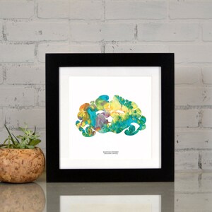 American Badger Brain Art - Colorful 8.5" X 8.5" Watercolor Prints ...