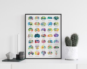Animal Brain Art 16 X 20 Poster THIRD EDITION | Etsy
