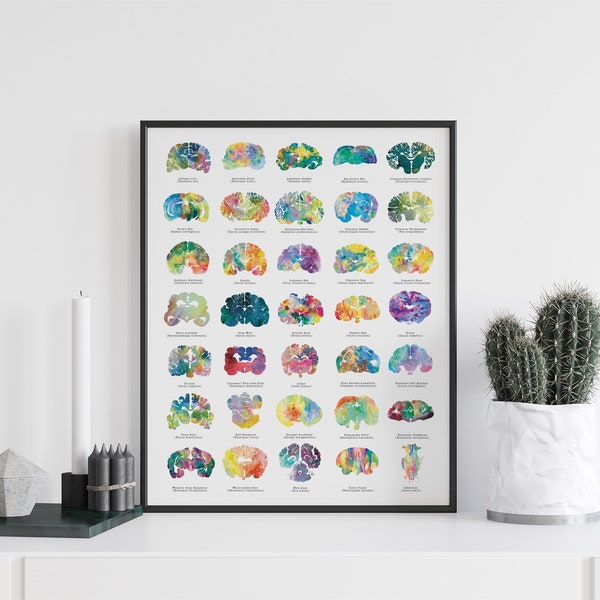 Neuroscience - Etsy