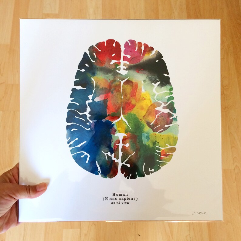 Human Brain Art Print Set 8.5 x 8.5 Neurology | Etsy