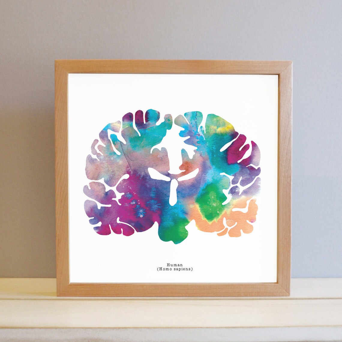 Human Brain Art Print Set Three 12 X 12 - Etsy