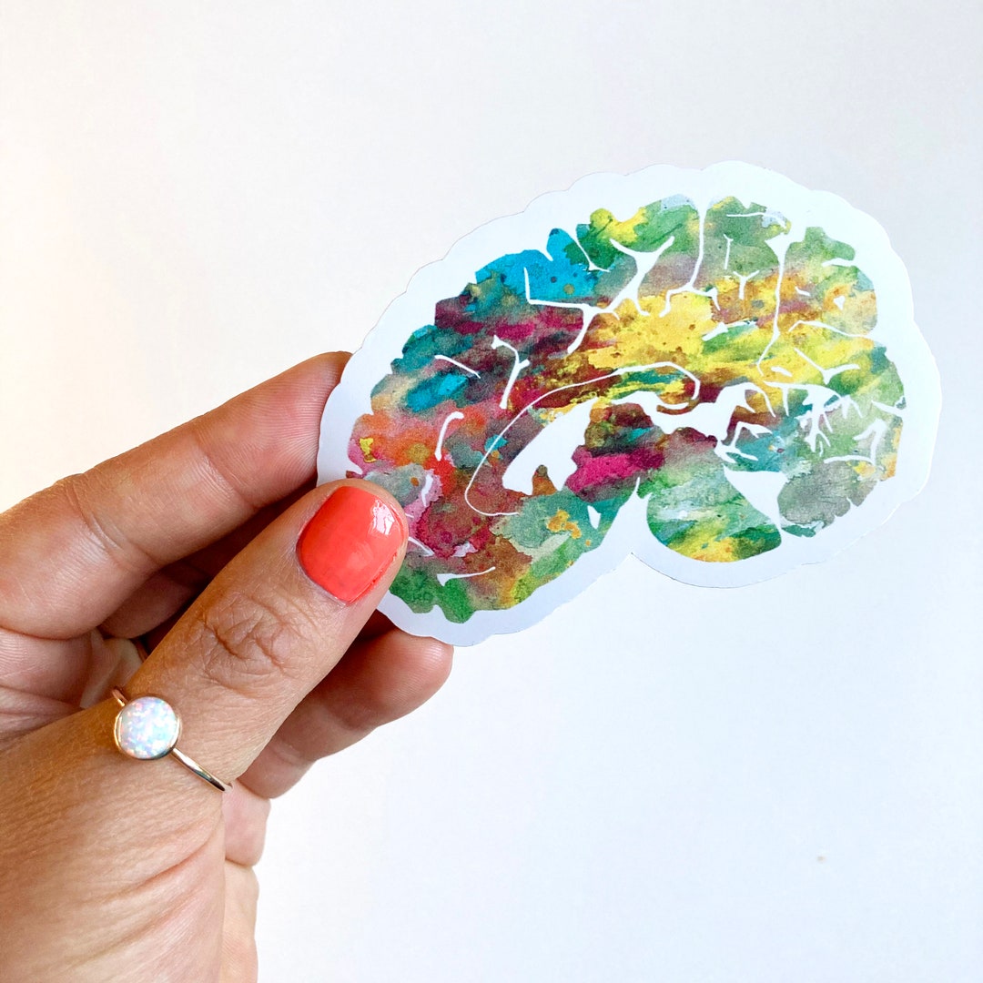 Sagittal Human Brain Stickers - Set of 10 - Neurology Sticker Art ...