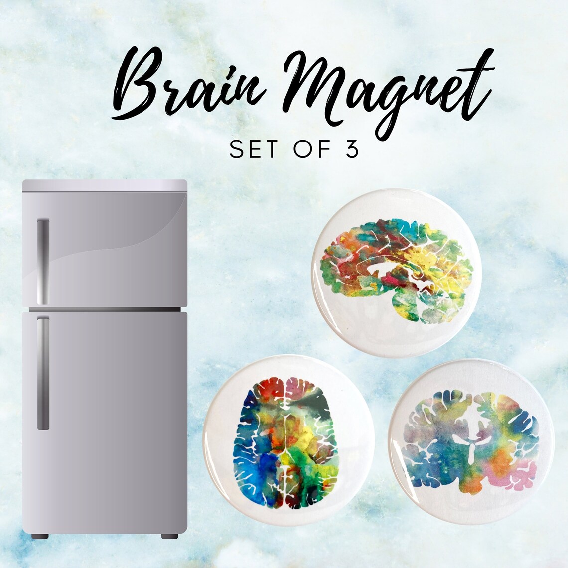 Human Brain Magnet Set - 2.25" Round Fridge Magnets - Refrigerator ...