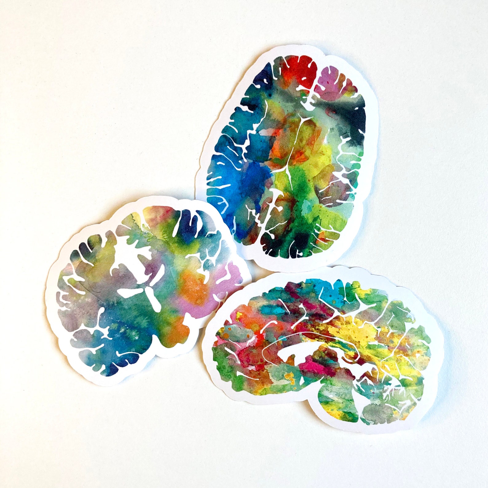 Sagittal Human Brain Stickers - Set of 10 - Neurology Sticker Art ...