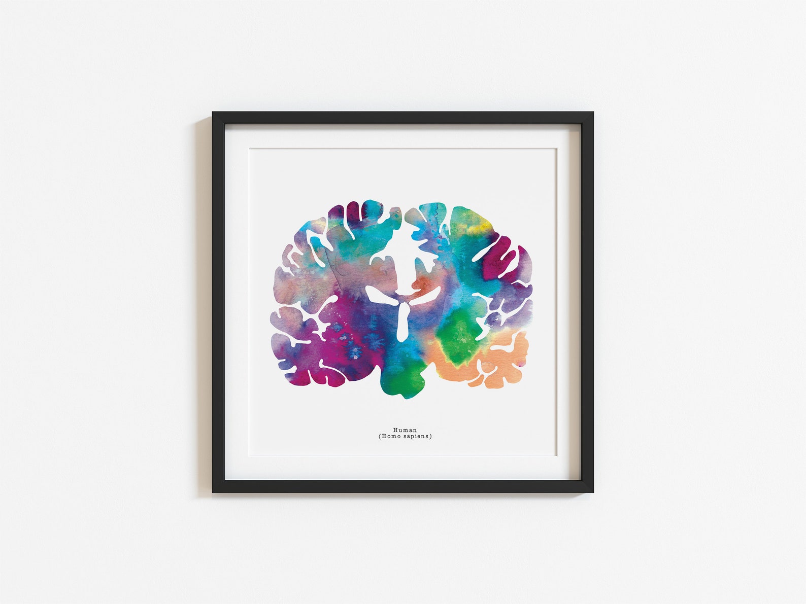 Human Brain Art Print 8.5 X 8.5 Watercolor | Etsy