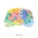 American Mink Brain Art Colorful 8.5 X 8.5 - Etsy