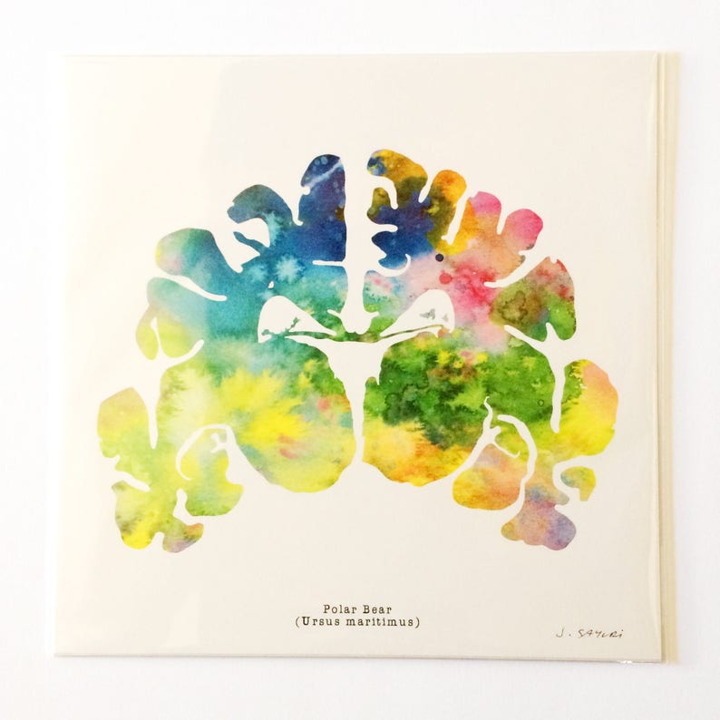 Polar Bear Brain Art 12 X 12 Animal Print - Etsy