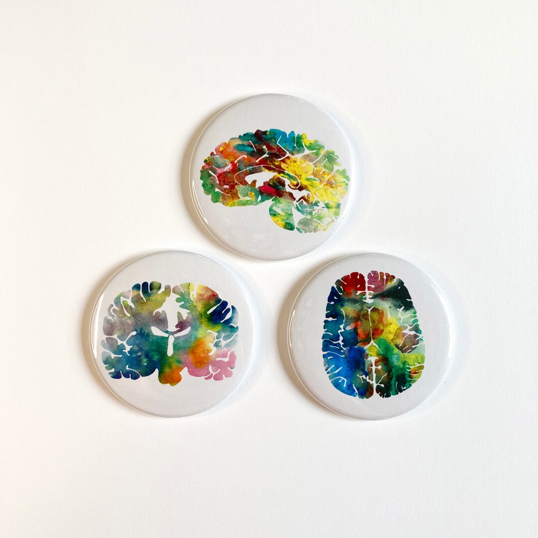 Human Brain Magnet Set - 2.25" Round Fridge Magnets - Refrigerator ...