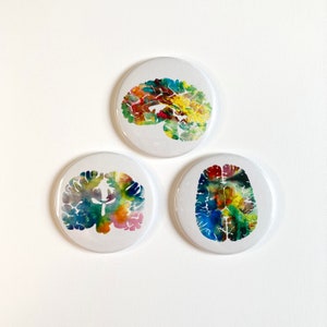 Human Brain Magnet Set - 2.25" Round Fridge Magnets - Refrigerator ...