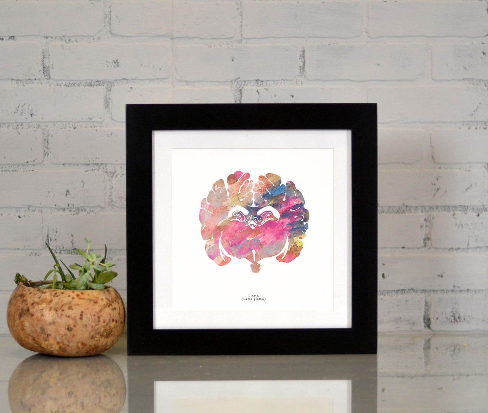 Llama Brain Art Colorful 8.5 X 8.5 Animal Print | Etsy