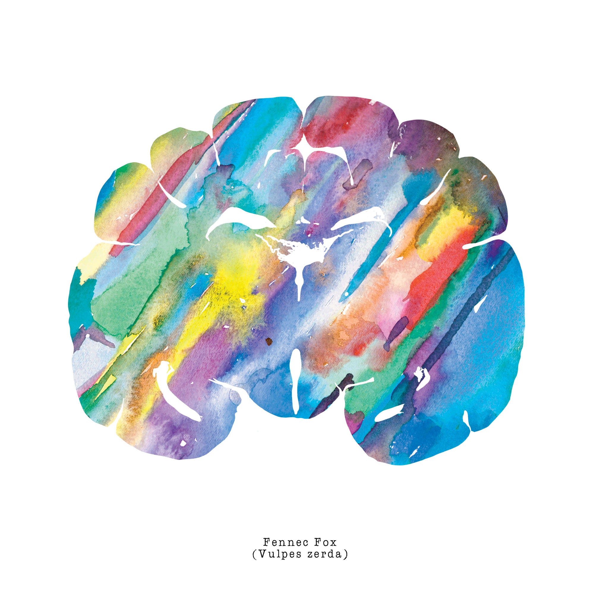 Fennec Fox Brain Art 12 X 12 Watercolor Art - Etsy
