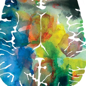 Human Brain Art Print Set - 8.5" X 8.5" - Neurology Wall Decor Prints ...