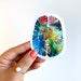 Coronal Human Brain Stickers Set of 20 Neurology Sticker Art Colorful ...