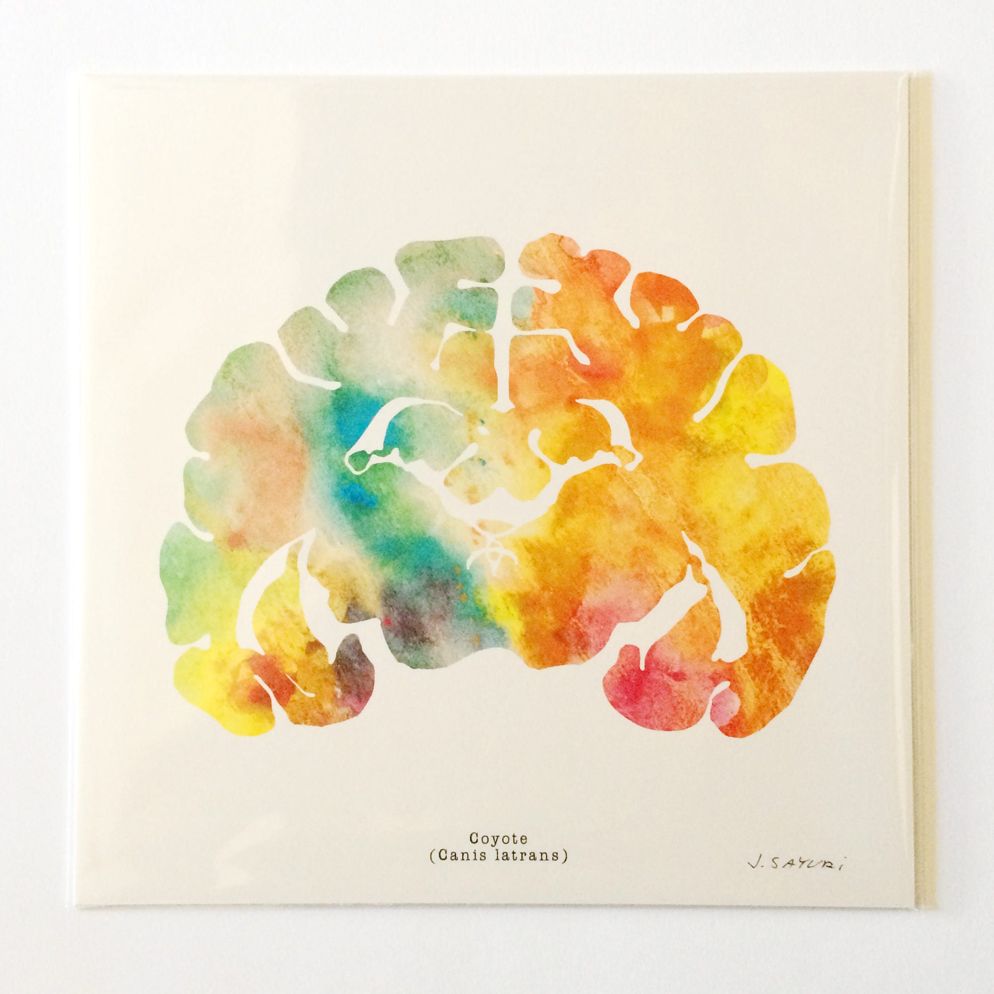 Set of 40 Brain Art Prints 12 X 12 Watercolor - Etsy