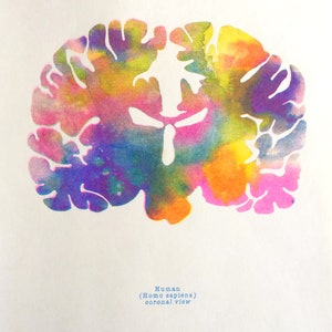 Coronal Human Brain Art Original 8.5 X 11 Risograph Print Neuroscience ...