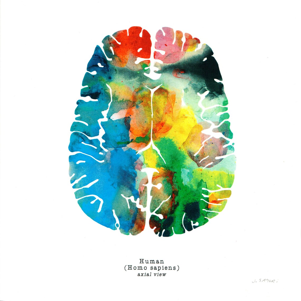 Watercolor Brain Psychology Art Three Square Framed Artwork | Etsy