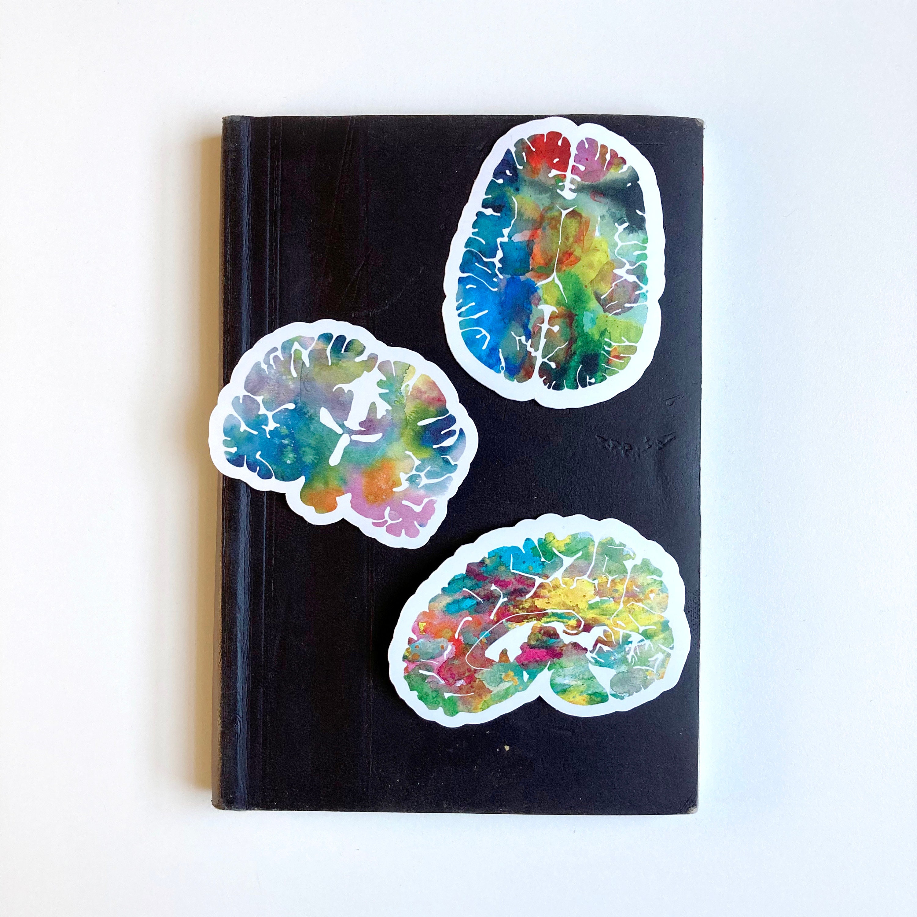 Sagittal Human Brain Stickers - Set of 10 - Neurology Sticker Art ...