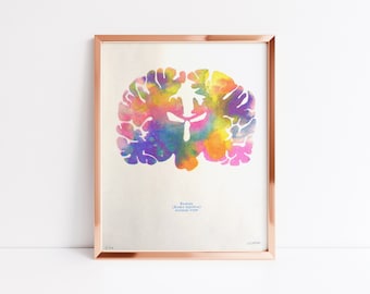 Axial Human Brain Original 8.5 X 11 Risograph | Etsy