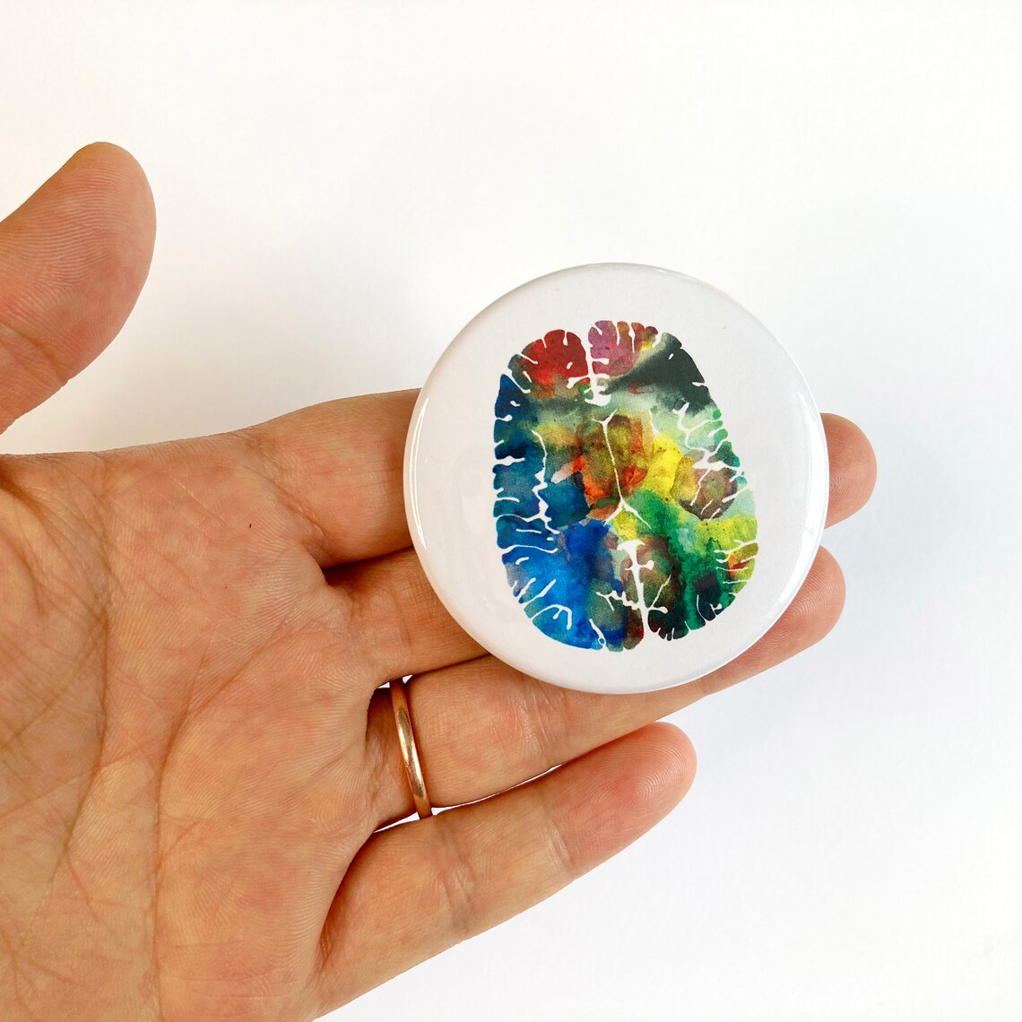 Human Brain Magnet Set - 2.25" Round Fridge Magnets - Refrigerator ...