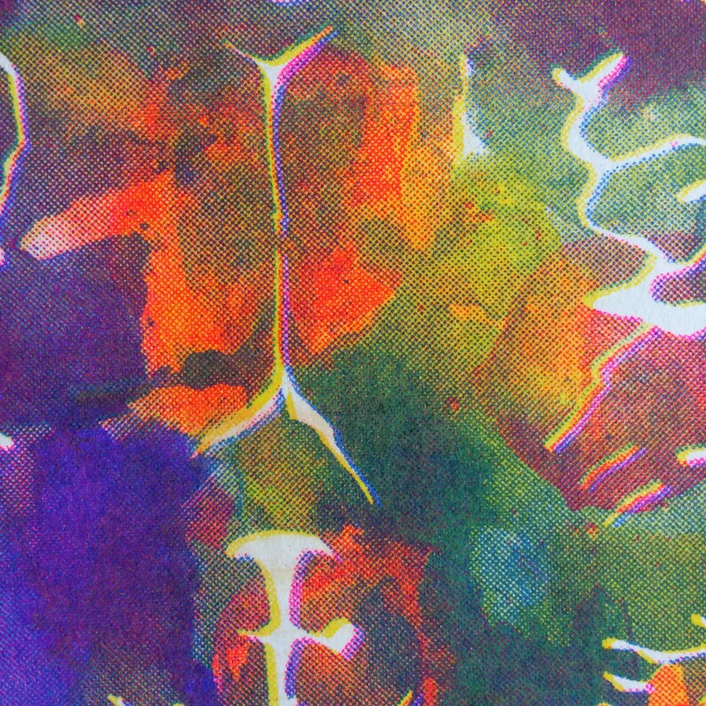 Axial Human Brain Original 8.5 x 11 Risograph | Etsy