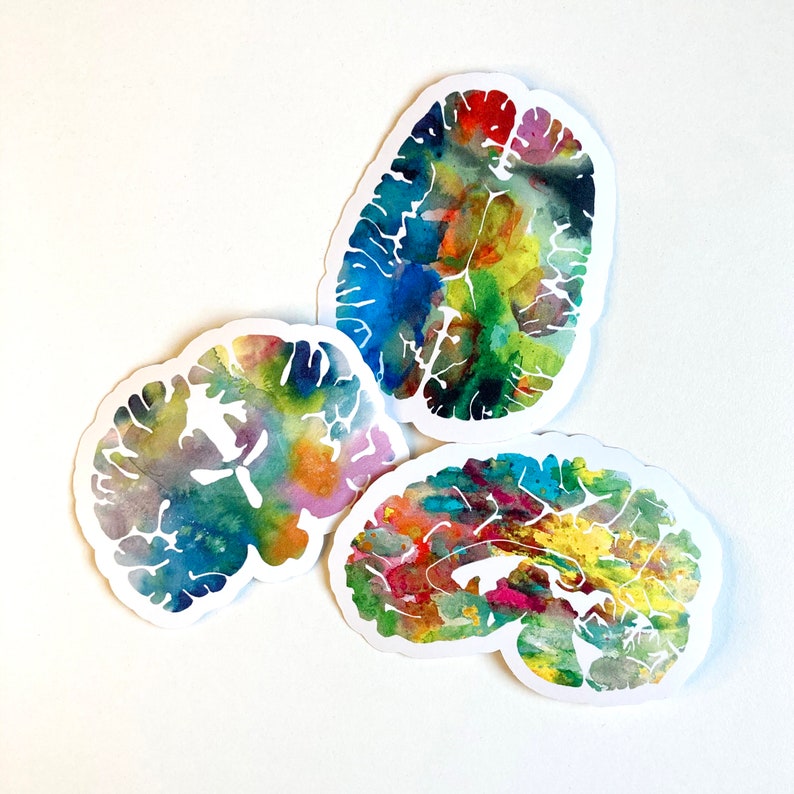 Coronal Human Brain Stickers Set of 20 Neurology Sticker | Etsy