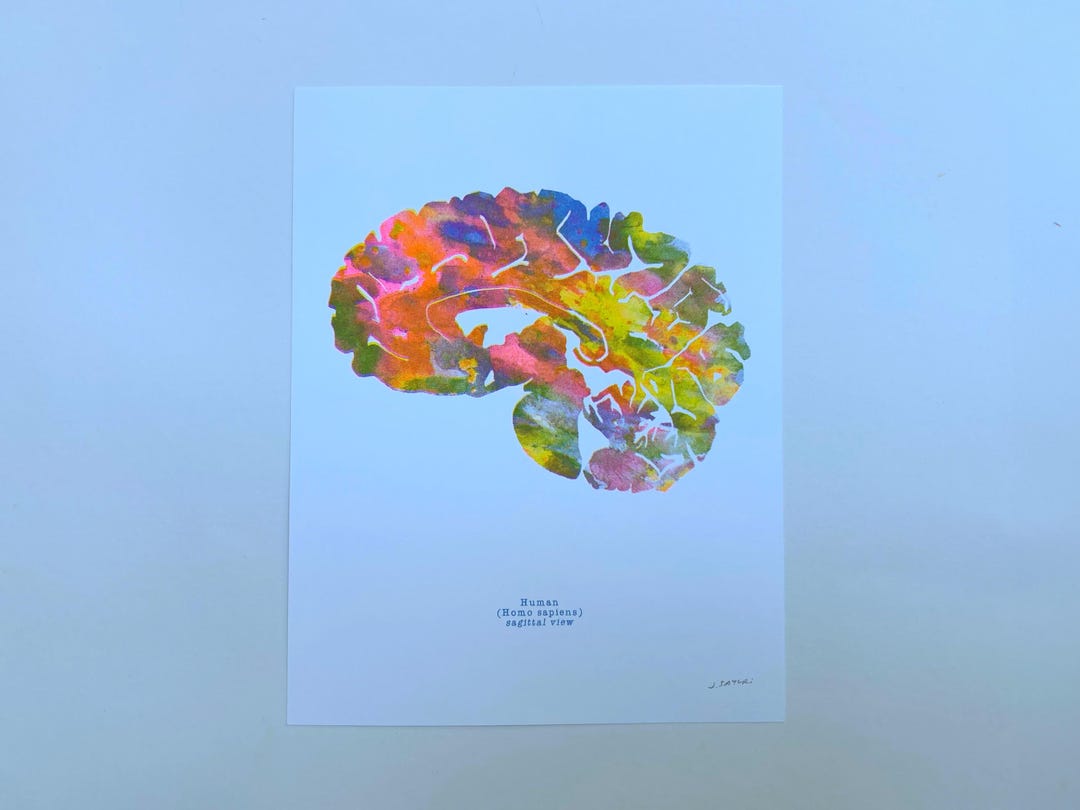 Risograph Print | Colorful Brain Art Print | Neuroscience Wall Art ...