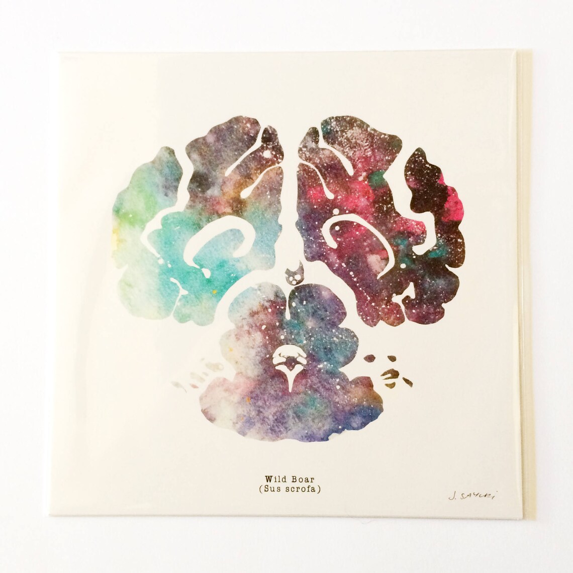 Wild Boar Brain Art Print 12 X 12 Watercolor - Etsy