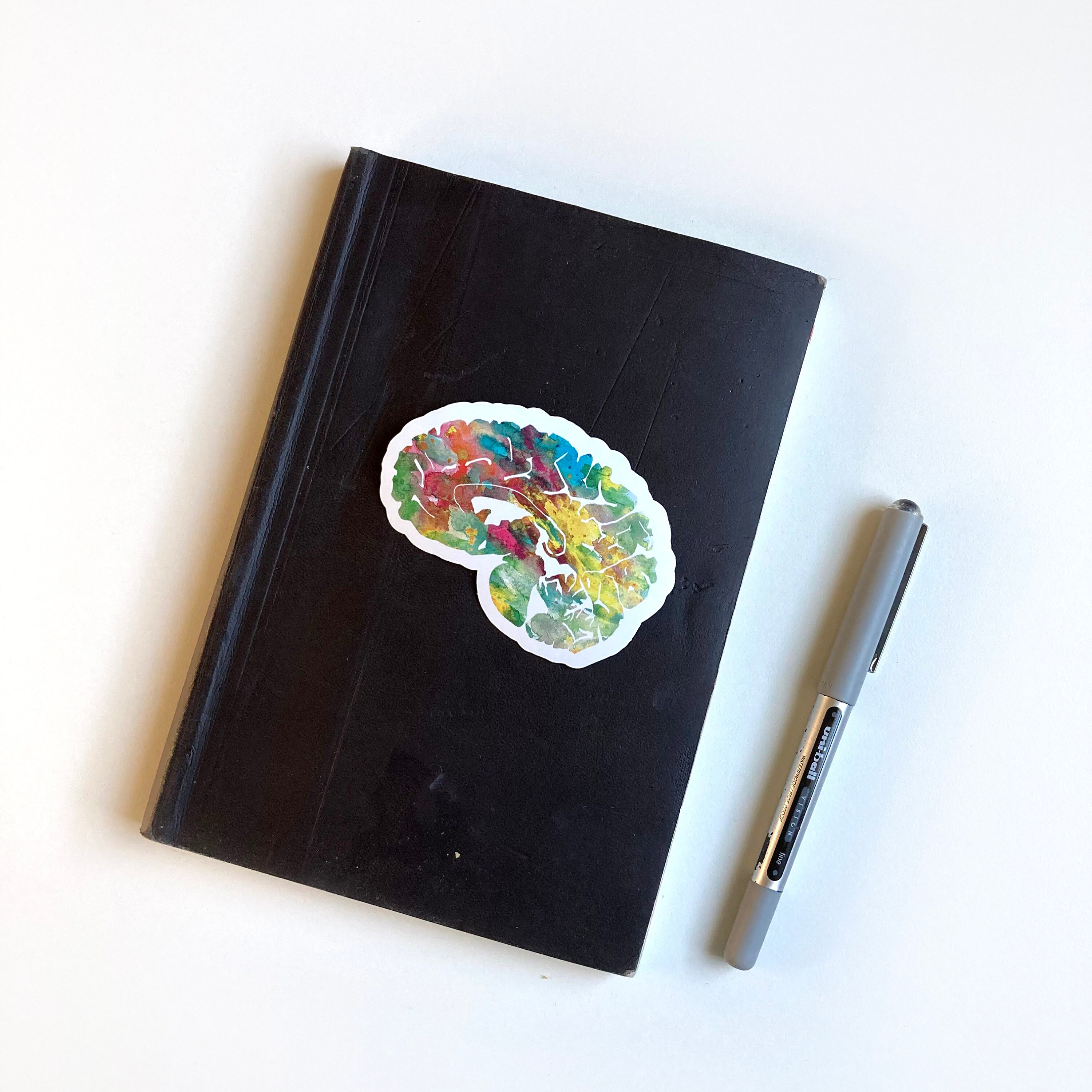 Sagittal Human Brain Stickers Set of 20 Neurology Sticker | Etsy