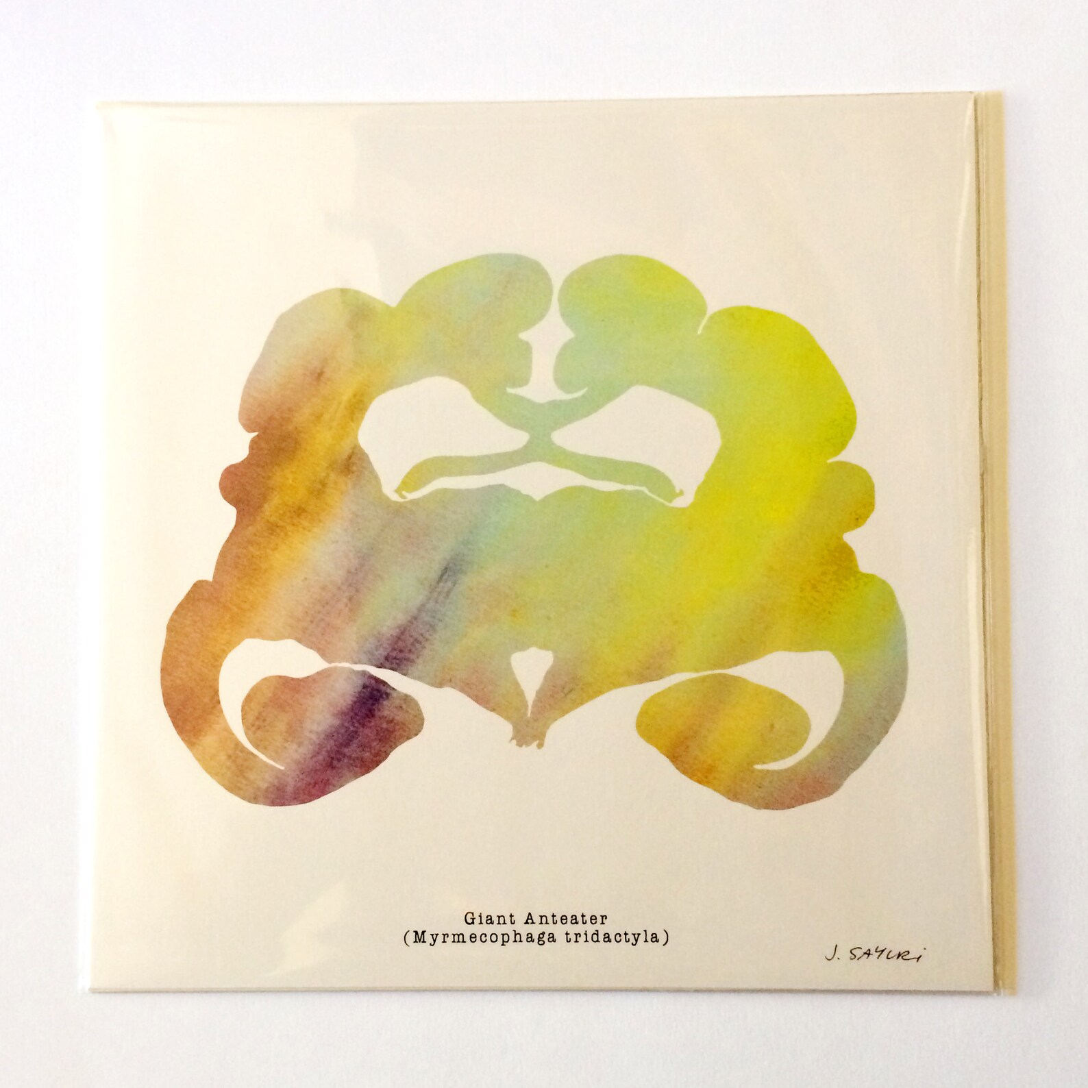 Giant Anteater Brain Art - Colorful 8.5" X 8.5" Watercolor Prints ...