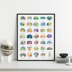 Brain Art Poster - 16" X 20" - Neurology, Neuroscience, Veterinary and ...