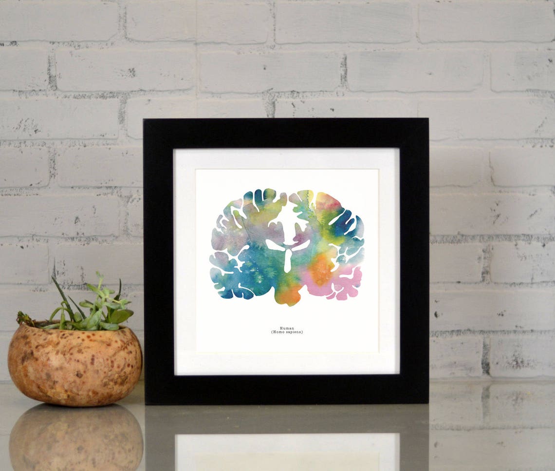 Human Brain Art Prints 12 X 12 Artwork - Etsy