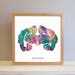 Western Gray Kangaroo Brain Art Colorful 8.5 X 8.5 Watercolor Print ...