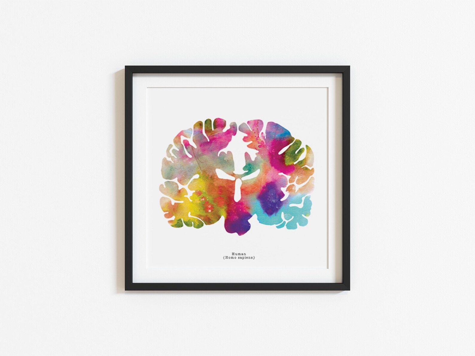 Human Brain Art Print 8.5 X 8.5 Watercolor | Etsy