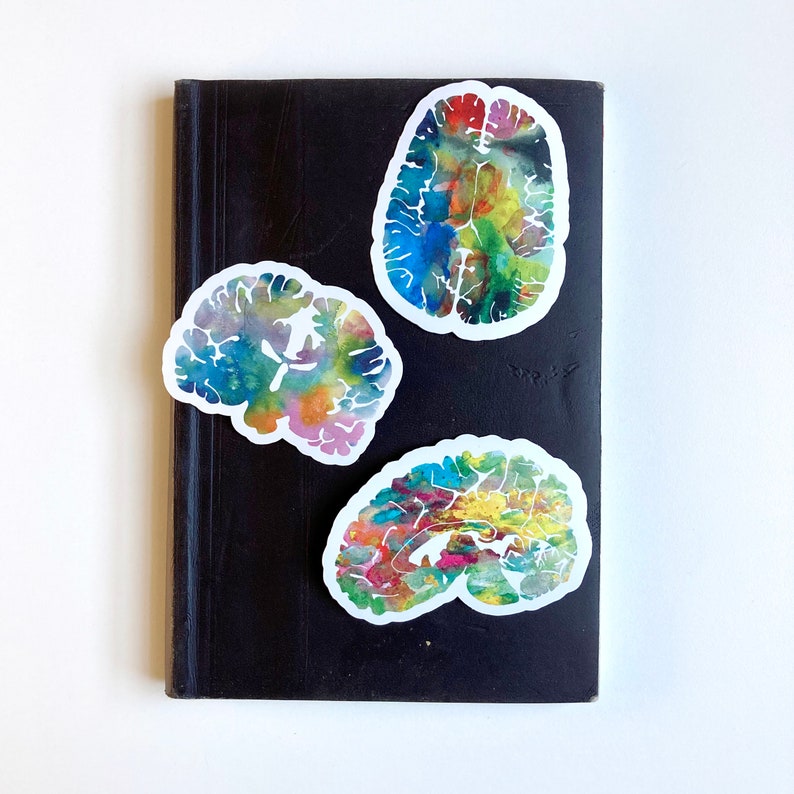 Set of 30 Stickers Human Brain Art Sticker Set Neurology - Etsy