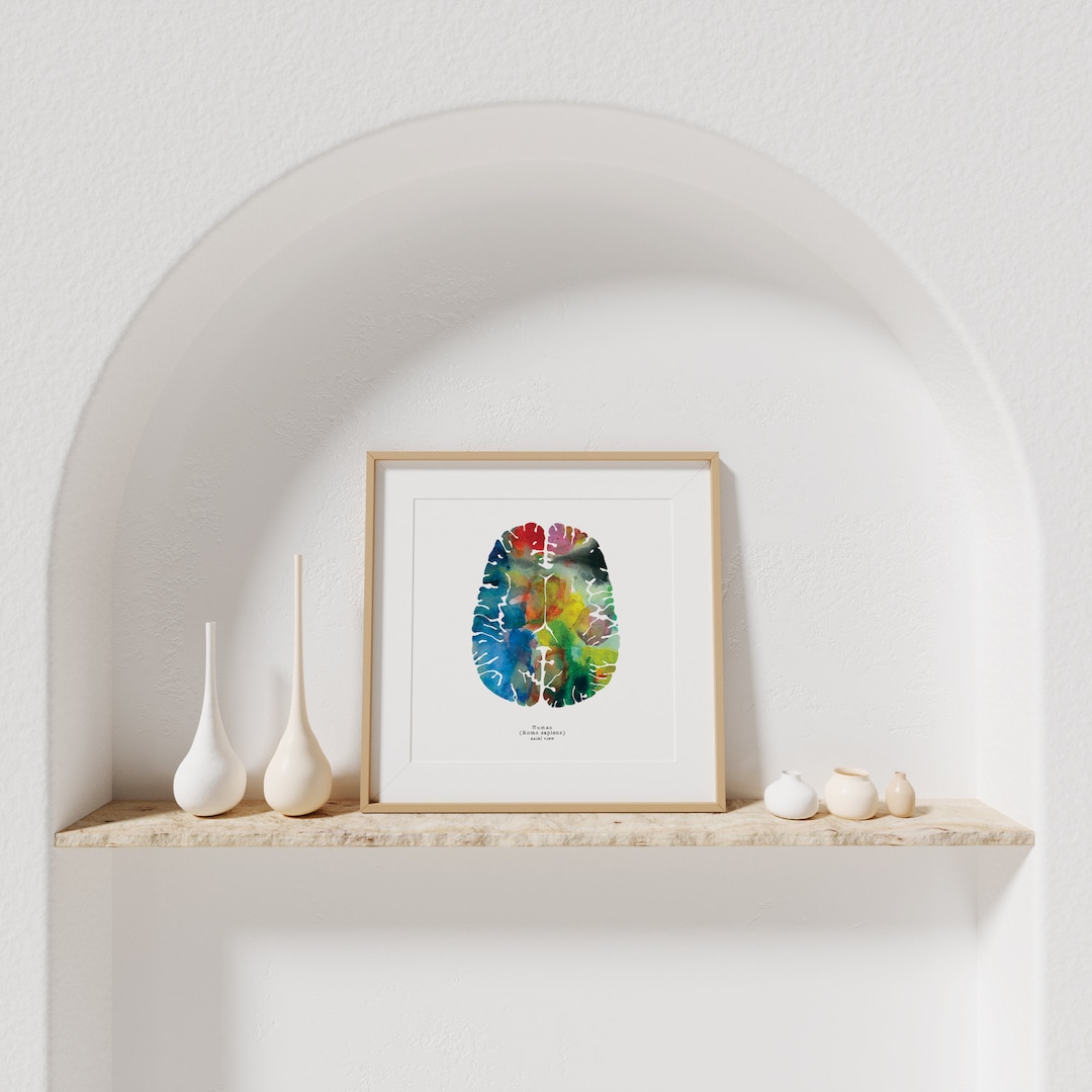 Axial Human Brain Art - 12" X 12" Print - Neuroscience, Neurology, and ...