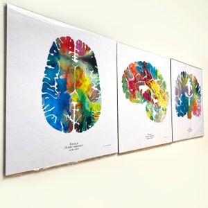 Human Brain Art Print Set 8.5 X 8.5 Neurology | Etsy