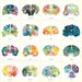 Set of 16 Animal Brain Art Prints 8.5 X 8.5 Watercolor - Etsy