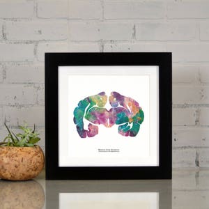 Western Gray Kangaroo Brain Art Colorful 12 X 12 Animal Print ...